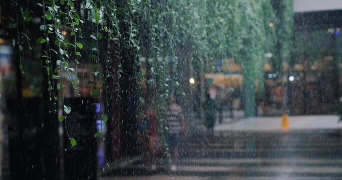 "Drizzling Rain" Images – Browse 124 Stock Photos, Vectors, and Video ...