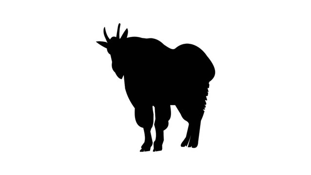Mountain Goat Silhouette