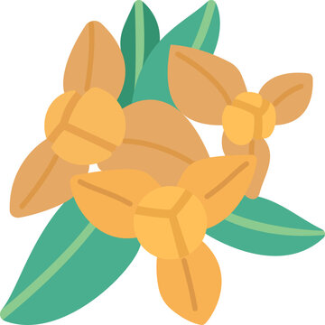 Rumdul 이미지 – 찾아보기 364 스톡 사진, 벡터 및 비디오 | Adobe Stock