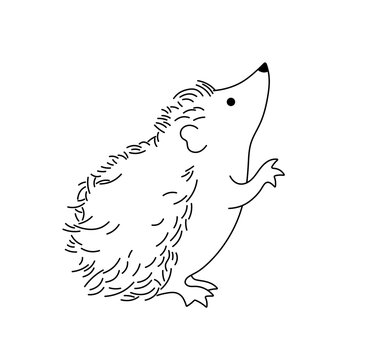 "Prickly Animal" Images – Browse 44 Stock Photos, Vectors, and Video ...