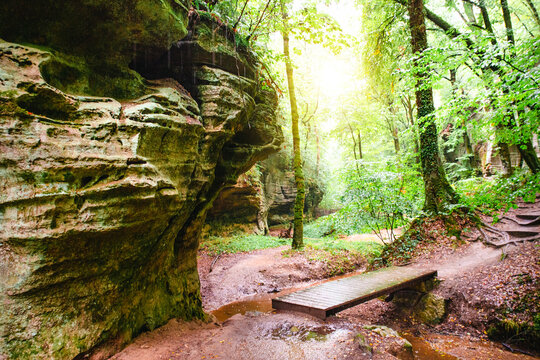 รูปภาพBerdorf – เลือกดูภาพถ่ายสต็อก เวกเตอร์ และวิดีโอ290 | Adobe Stock