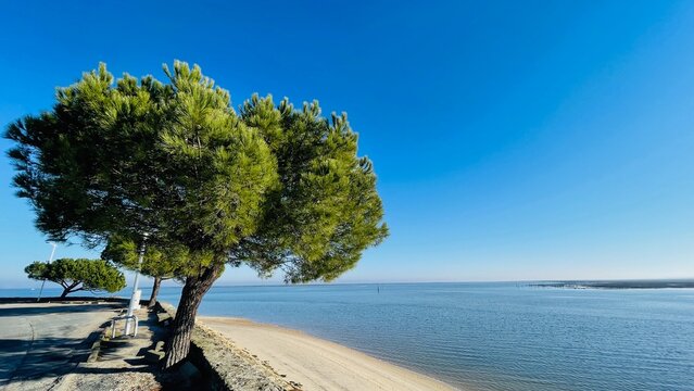 รูปภาพBassin – เลือกดูภาพถ่ายสต็อก เวกเตอร์ และวิดีโอ28,871 | Adobe Stock