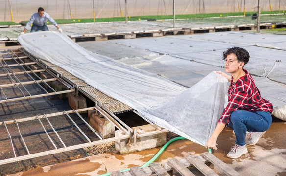 Abdeckmaterial Bilder – Durchsuchen 613 Archivfotos, Vektorgrafiken und ...