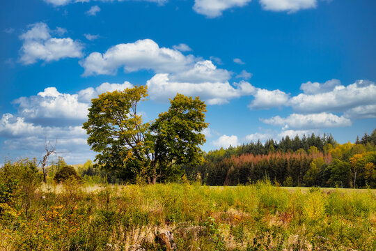 รูปภาพHerbstbild – เลือกดูภาพถ่ายสต็อก เวกเตอร์ และวิดีโอ994 | Adobe Stock