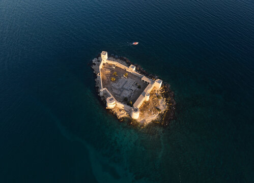 รูปภาพCorycus – เลือกดูภาพถ่ายสต็อก เวกเตอร์ และวิดีโอ1,332 | Adobe Stock