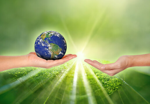 World In Hands Image