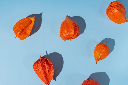 Harankash Images – Browse 13,857 Stock Photos, Vectors, and Video ...