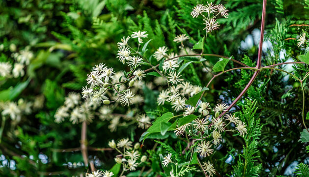 Darn Images – Parcourir 8,813 le catalogue de photos, vecteurs et ...