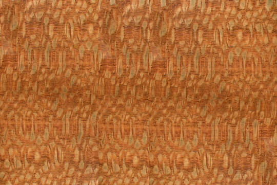 "Wood Veneer"-Bilder: Stock-Fotos & -Videos. | Adobe Stock
