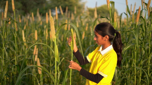 Millets Banner Images – Browse 637 Stock Photos, Vectors, and Video ...