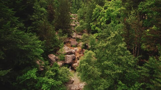 Prionia Bilder – Durchsuchen 171 Archivfotos, Vektorgrafiken und Videos ...