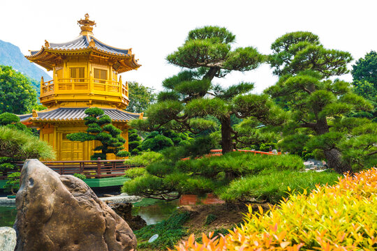 Nan 이미지 – 찾아보기 50,675 스톡 사진, 벡터 및 비디오 | Adobe Stock