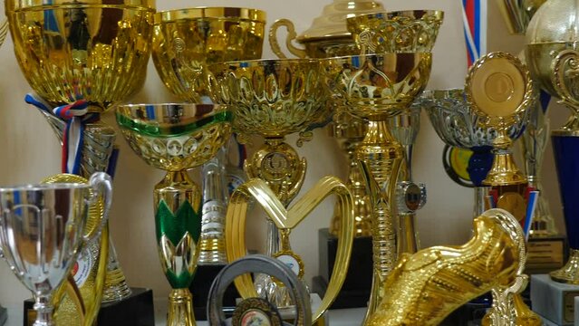 Trophy Collection Images – Browse 44,260 Stock Photos, Vectors, and ...