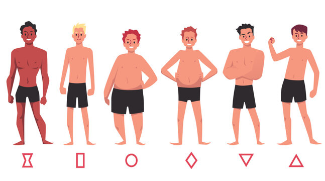 「Male Body Types」の写真素材 | 6,608件の無料イラスト画像 | Adobe Stock