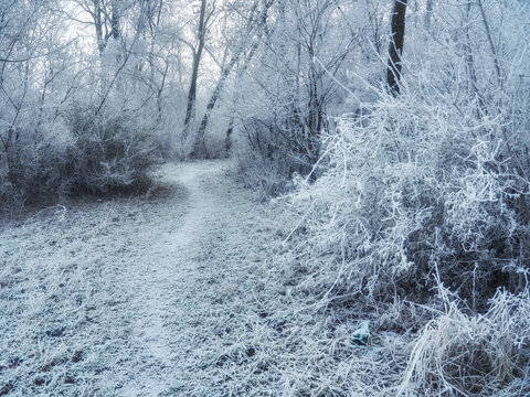 Ryzhkov Oleksandr Fotos, Bilder, Stockmedien | Adobe Stock