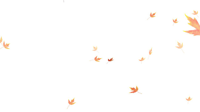 Falling Leaves Gif Transparent