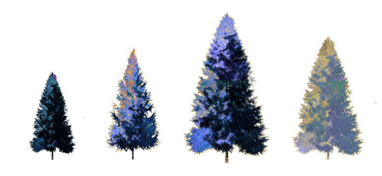 Tamarack Tree Drawing