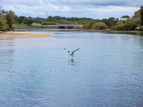 Cudgen Images – Browse 62 Stock Photos, Vectors, and Video | Adobe Stock