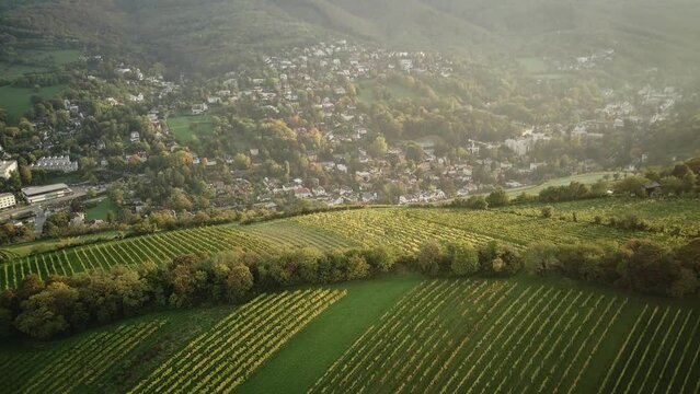 รูปภาพWeidling – เลือกดูภาพถ่ายสต็อก เวกเตอร์ และวิดีโอ68 | Adobe Stock