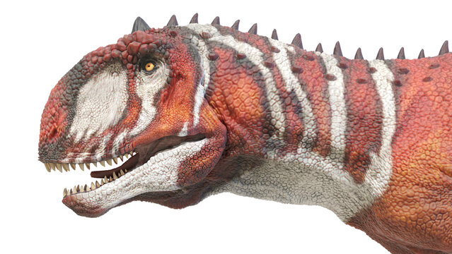 Majungasaurus 이미지 – 찾아보기 125 스톡 사진, 벡터 및 비디오 | Adobe Stock