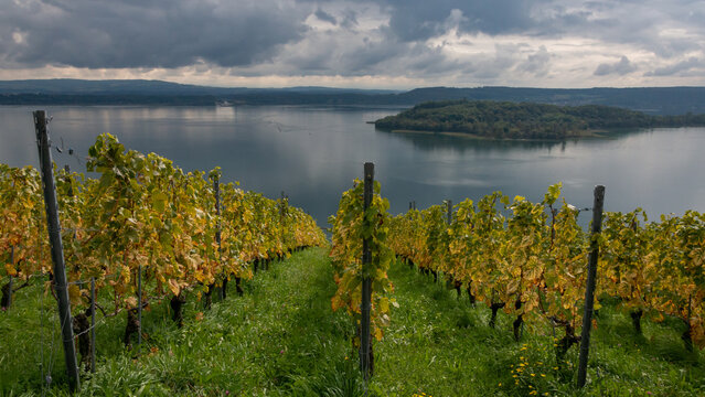 รูปภาพLigerz – เลือกดูภาพถ่ายสต็อก เวกเตอร์ และวิดีโอ273 | Adobe Stock