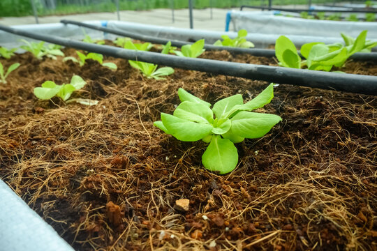 Sufficient Images – Browse 3,728 Stock Photos, Vectors, and Video ...