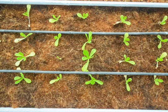 Sufficient Images – Browse 3,728 Stock Photos, Vectors, and Video ...