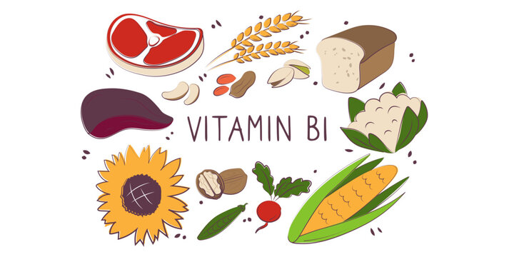 Vitamin B1 Sources Drawing
