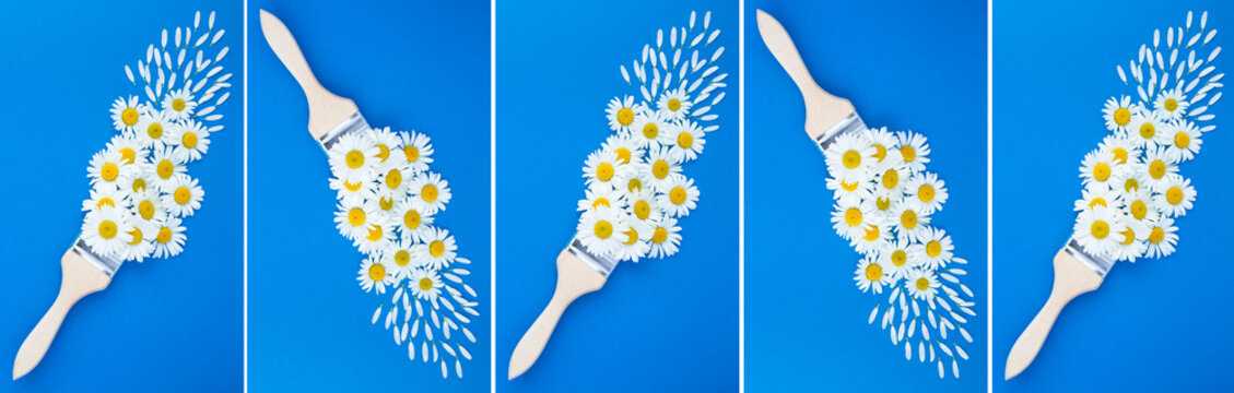 Pseudanthium Images – Browse 655,910 Stock Photos, Vectors, and Video ...