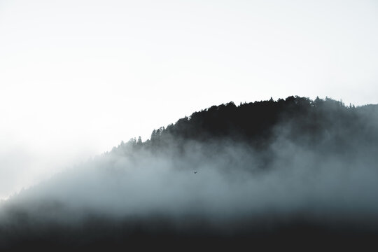 Imágenes de Nebel: descubre bancos de fotos, ilustraciones, vectores y ...