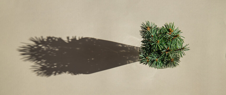 "Creative Tree" Images – Browse 238 Stock Photos, Vectors, and Video ...