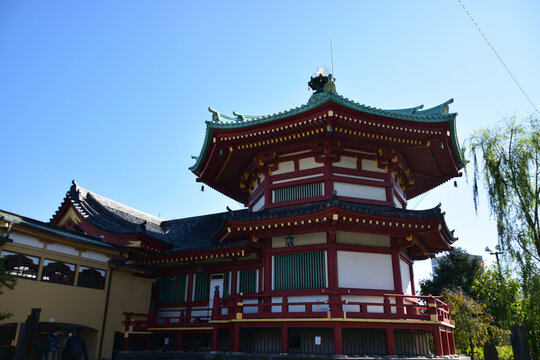 รูปภาพCatamite – เลือกดูภาพถ่ายสต็อก เวกเตอร์ และวิดีโอ1,098 | Adobe Stock