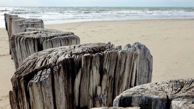 Disunite Bilder – Durchsuchen 6,647 Archivfotos, Vektorgrafiken und ...