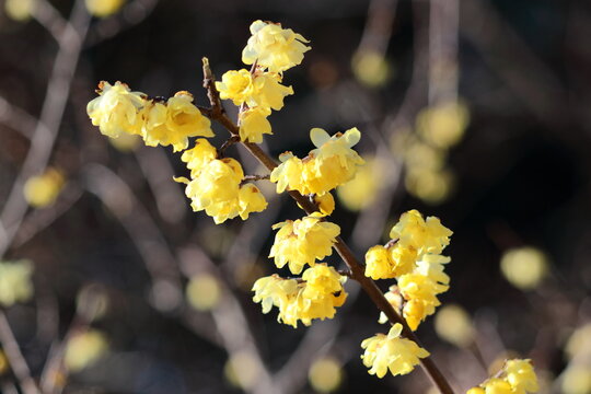 慈愛 Images – Browse 441 Stock Photos, Vectors, and Video | Adobe Stock