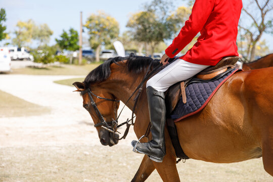Imágenes de Jinete: descubre bancos de fotos, ilustraciones, vectores y ...
