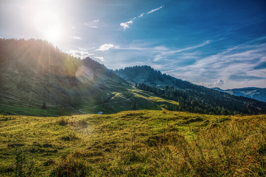 Alp Images – Browse 1,759,920 Stock Photos, Vectors, and Video | Adobe ...