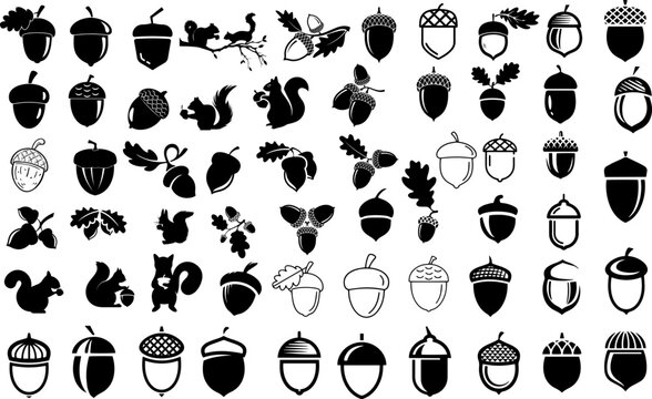 Squirrel Acorn Silhouette