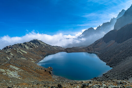 รูปภาพCozie – เลือกดูภาพถ่ายสต็อก เวกเตอร์ และวิดีโอ643 | Adobe Stock