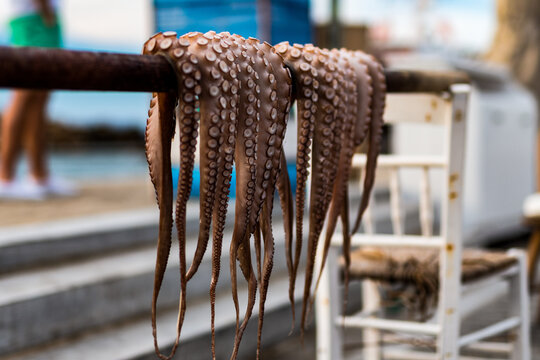 Pulpo bilder – Bläddra bland 4,830 stockfoton, vektorer och videor ...