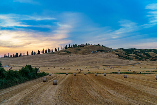 Imágenes de Toscania: descubre bancos de fotos, ilustraciones, vectores ...