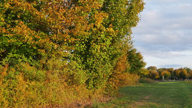 Vergiessen Bilder – Durchsuchen 5,566 Archivfotos, Vektorgrafiken und ...