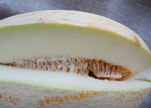 Vedan Images – Browse 24 Stock Photos, Vectors, and Video | Adobe Stock