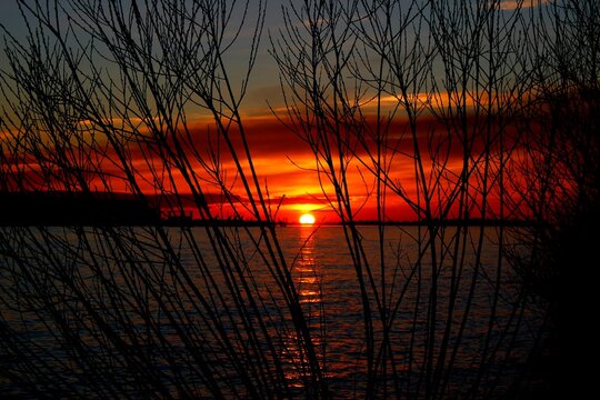 " Sunet" Images – Browse 2,541 Stock Photos, Vectors, and Video | Adobe ...