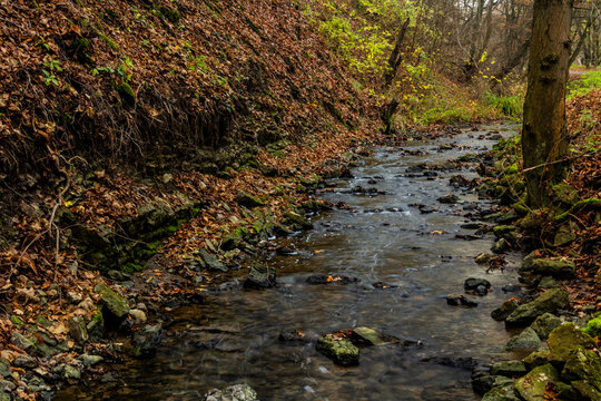 Potok 이미지 – 찾아보기 15,818 스톡 사진, 벡터 및 비디오 | Adobe Stock
