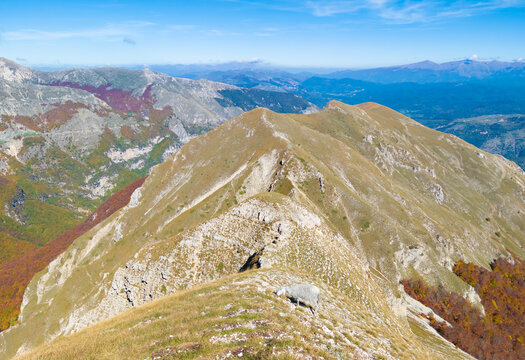 Valloni Images – Browse 130 Stock Photos, Vectors, and Video | Adobe Stock