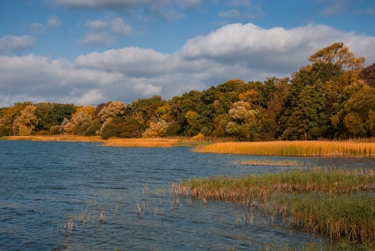 Tollense Images – Browse 53 Stock Photos, Vectors, and Video | Adobe Stock