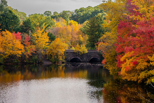 Boston In Fall Images – Browse 3,995 Stock Photos, Vectors, and Video ...