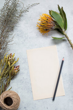 รูปภาพFynbos – เลือกดูภาพถ่ายสต็อก เวกเตอร์ และวิดีโอ5,692 | Adobe Stock