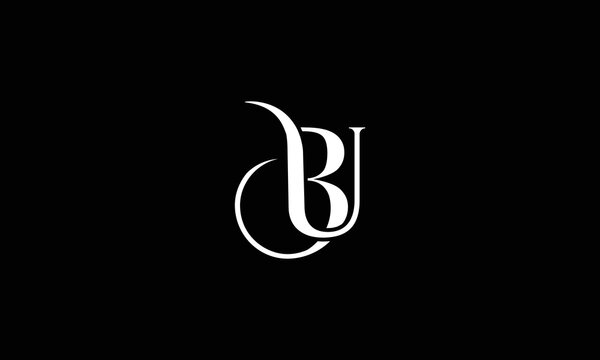 Bu Logo Usa Color