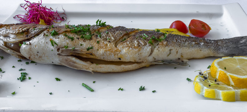 "Dorade Box" Bilder – Durchsuchen 836 Archivfotos, Vektorgrafiken und ...